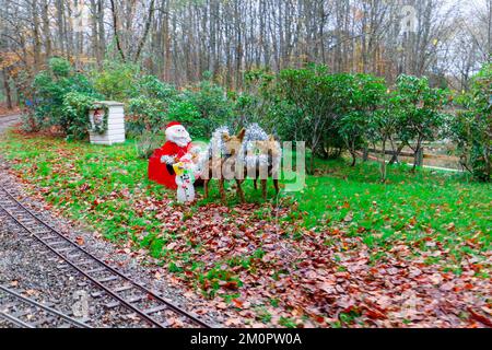 Santa on his sleigh at the popular annual Santa Special event at Mizens ...