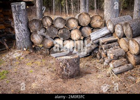 Chena Indian Village in Fairbanks, Alaska Stock Photo - Alamy