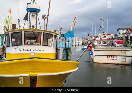 Fishing boats at the commercial fishing port of Capbreton, the ...