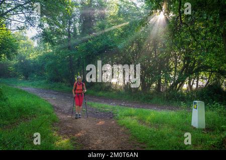 Spain, Principality of Asturias, surroundings of Tineo, landscape on ...