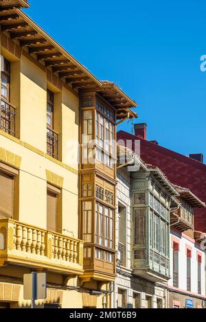Spain, Principality of Asturias, Tineo, stage on the Camino Primitivo ...