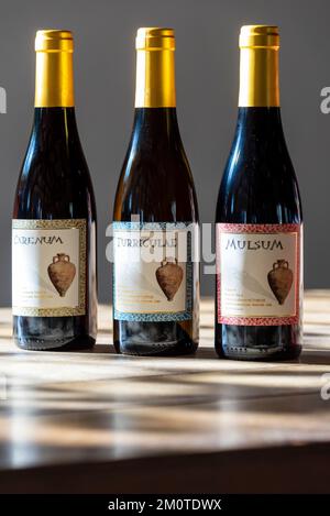 France, Gard, Beaucaire, Mas des Tourelles, reconstructed Roman press ...