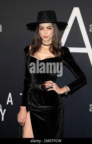 Vamp at the M3GAN Premiere at TCL Chinese Theater IMAX on December 7 ...