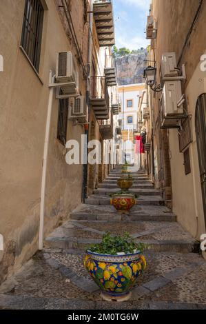 Italy, Sicily, Cefalu, UNESCO World Heritage, palm tree Stock Photo - Alamy