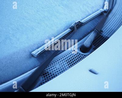 Sheerness, Kent, UK. 8th Dec, 2022. UK Weather: an icy frost in ...