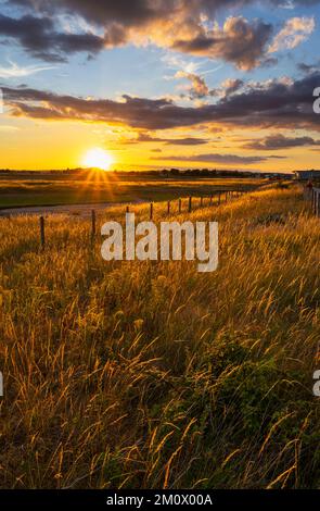 Rye Harbour Nature Reserve wetlands and saltmarsh landscape Rye Harbour ...