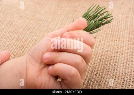 Leaves in hand over a notebook page Stock Photo - Alamy
