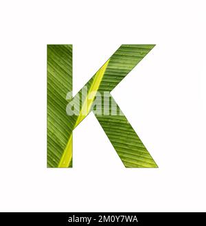 Alphabet Letter L - Banana plant leaf background Stock Photo - Alamy