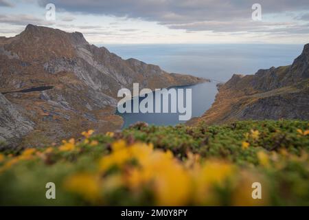 Autumn view over Djupfjord, Moskenesøy, Lofoten Islands, Norway Stock ...