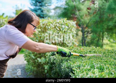 Woman gardener in apron trims decorative bushes with garden scissors ...