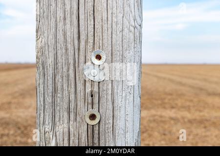 Inspection tag on electric utility power pole. Electrical grid safety ...