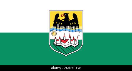 flag of German peoples Danube Swabians at cloudy sky background ...
