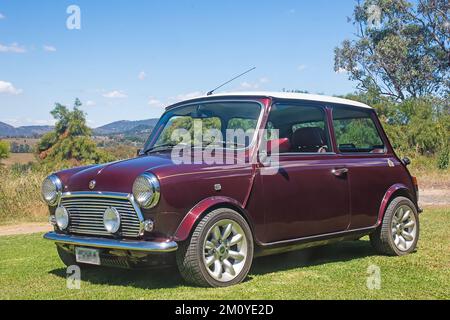 Rover Mini Cooper 40th Anniversary Edition Stock Photo - Alamy