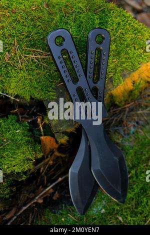 Black throwing knives on a mossy stump .Sport and hobby .Outdoor sports ...