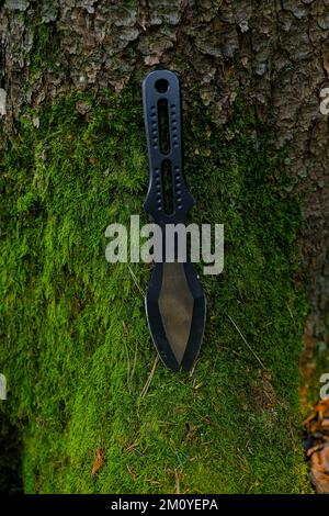 Black throwing knives on a mossy stump .Sport and hobby .Outdoor sports ...