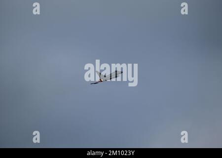 An aerial shot of a powerful aircraft performing in the air in cloudy ...