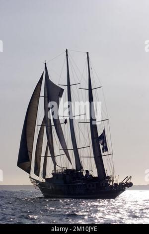 Uruguayan schooner Capitan Miranda under full sail Stock Photo - Alamy