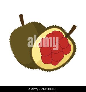 Entawak fruit Clip Art Illustration for Kids. cartoon fruit ...