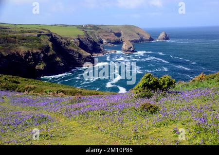 Lye Rock & The Sisters from Trevalga Cliff on the South West Coastal ...