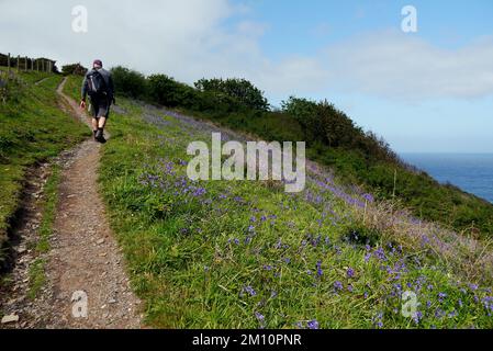 walking stile rambler path Stock Photo - Alamy