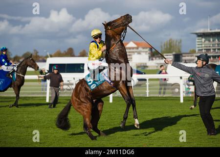 Racehorse Garden Route rears up while jockey Tom Marquand and ...