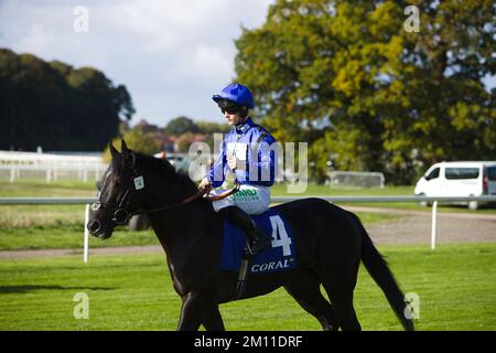 Jockey Jason Hart riding Felix Natalis at York Racecourse Stock Photo ...