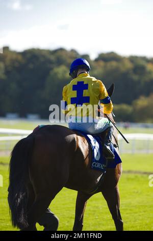 Jockey Jason Hart on Stay Well at the start of a race at York ...