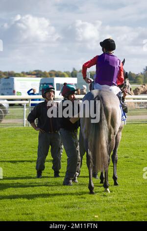 Jockey Robert Havlin on Saga before the start of a race at York ...