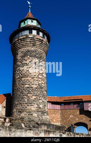 Brick round tower with pointed roof by a moat, surrounded by summer trees and beautiful nature ...