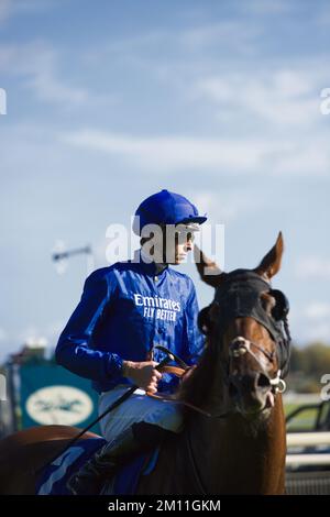 Jockey Louis Steward on Marching Army at York Races Stock Photo - Alamy