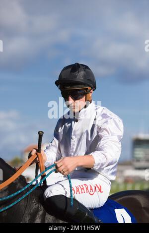 Jockey Tom Marquand riding Protagonist at York Racecourse Stock Photo ...