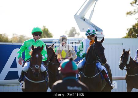 Jockeys Oisin Orr on Admiral D, Oisin McSweeney on Gis A Sub and Ronan ...
