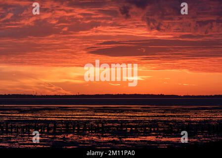 Sunrise in the Wadden Sea, Wadden Sea National Park, Rømø Island ...