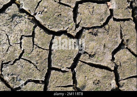 Dry soil, summer, Hesse, Germany, Europe Stock Photo - Alamy