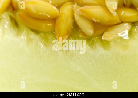 Macro photo melon ripe seeds with juicy pulp.Closeup.Seedling seeds ...