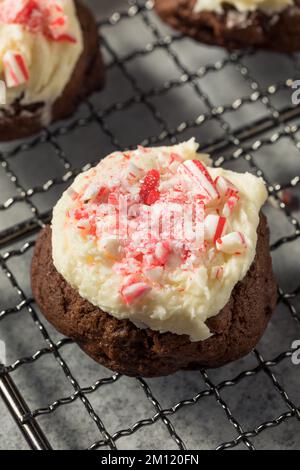 Homemade Peppermint Candycane Chocolate Cookies for Christmas Stock ...