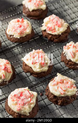 Homemade Peppermint Candycane Chocolate Cookies for Christmas Stock ...