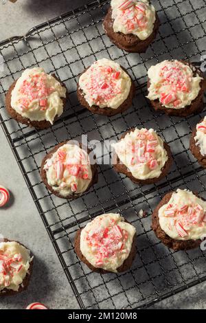 Homemade Peppermint Candycane Chocolate Cookies for Christmas Stock ...