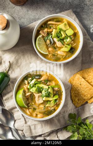 Homemade White Chicken Chili con Carne with Tortilla Chips Stock Photo ...