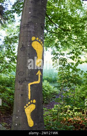 Barefoot walking - path marking in the form of a footprint with ...