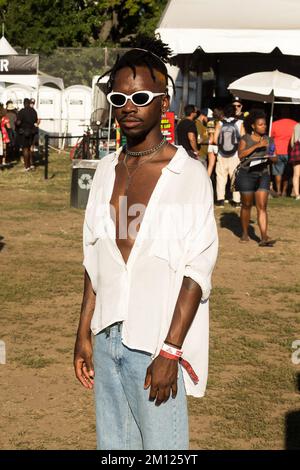 Afropunk Festival - Crowd Fashion Stock Photo - Alamy