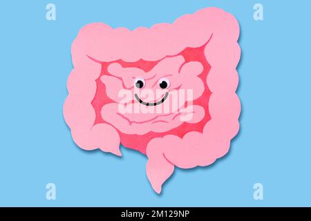 Healthy gut. Cute cartoon intestine with eyes. Healthy intestinal ...