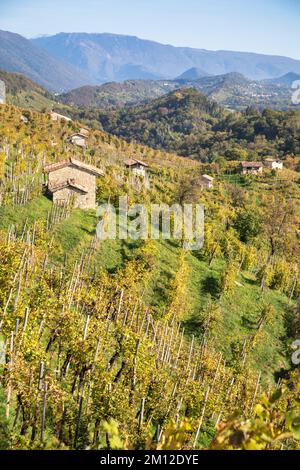 Italy, Veneto, province of Treviso, Miane. The Prosecco vineyards ...