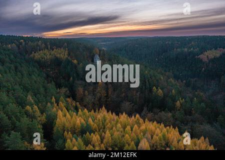 The duke's chair at the Rieseneck hunting lodge in Thuringia Stock ...