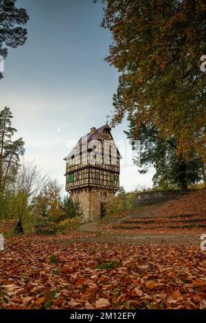 The duke's chair at the Rieseneck hunting lodge in Thuringia Stock ...