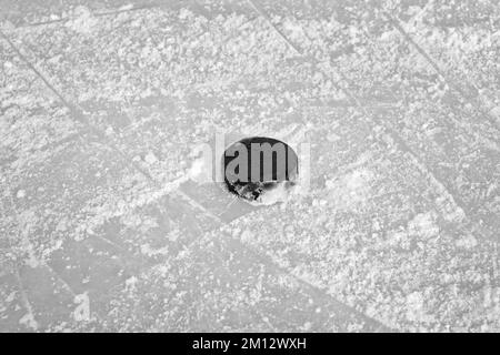 Black hockey puck on ice rink background Stock Photo - Alamy