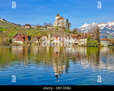 Werdenberg Castle with Old Town on Lake Werdenberg, Werdenberg, Grabs ...