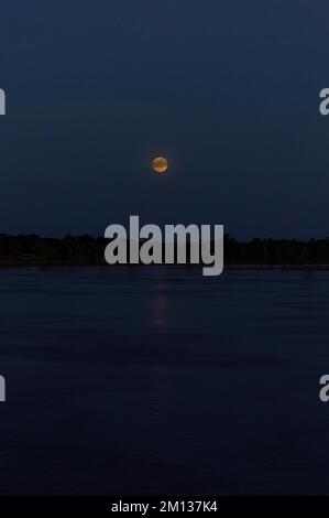 Full moon night in the Amazon forest along the Amazon river Stock Photo ...
