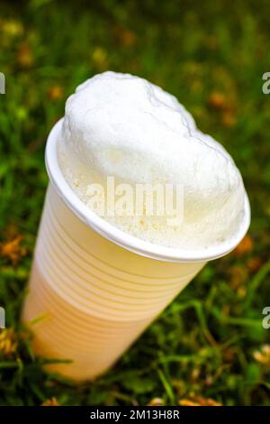 White plastic cups with beer and foam crown on grass in Speckenbütteler ...