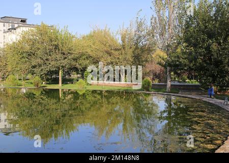 Seattle Peace Park, Do'stlik Bogi, Babur Street, South Tashkent ...